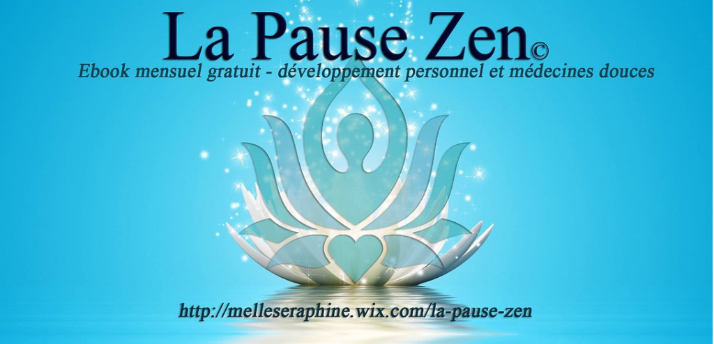 Interview : La pause zen, ebook gratuit sur le développement personnel ...